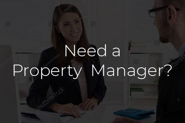 The Best Interior Design Tips for Renters - Meridian Property Management